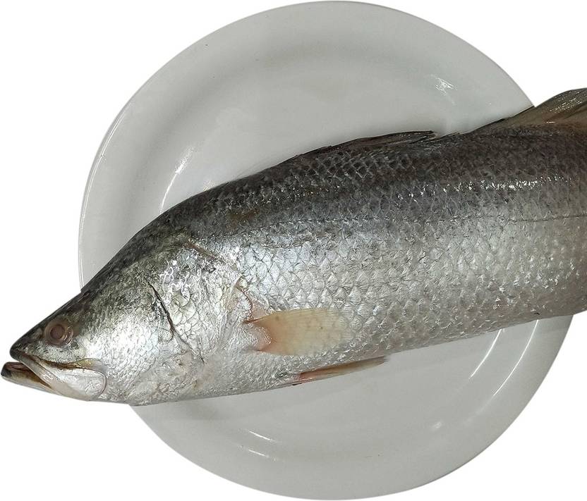 Big MeatMart kolkata Calcutta Bhetki/Sea Bass - (With Head) Bengal Cut ...
