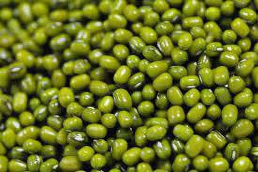 ganga enterprise Mug Seeds for Farming Seed Price in India - Buy ganga ...