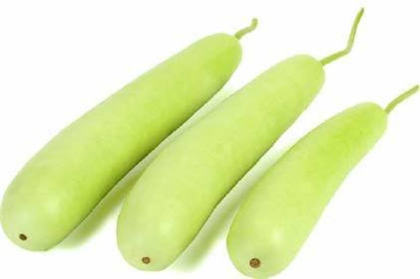 KANAYA Bottle Gourd Seeds, Lauki, Doodhi, Surakkai, Pechura, Sorakkaya ...