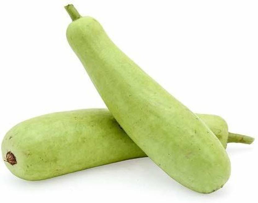 KANAYA Long Bottle Gourd - Calabash-Lauki-Ghiya-Lau Hybrid Vegetable ...