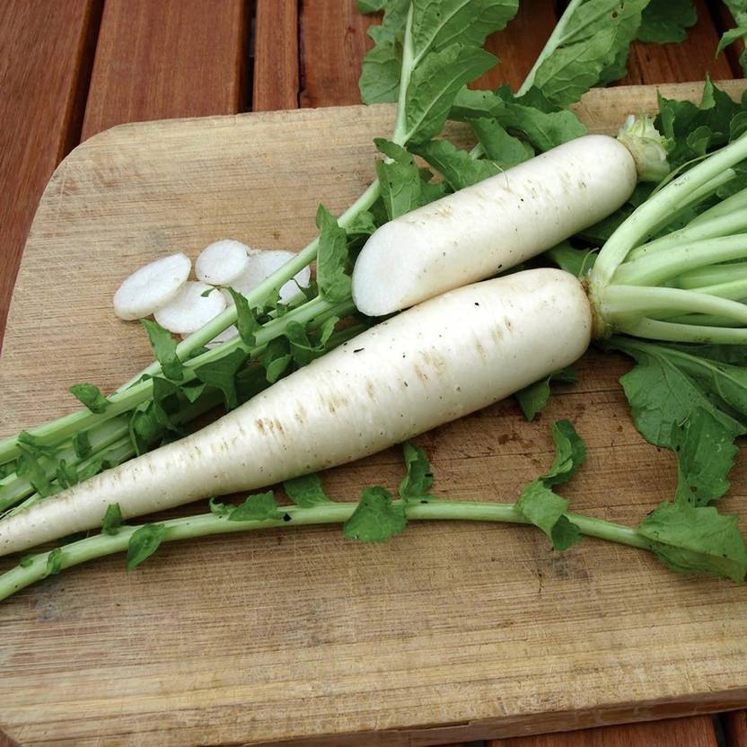 VINTI White Radish (Mooli) Vegetable (मूली के बीज) Seed Price in India ...