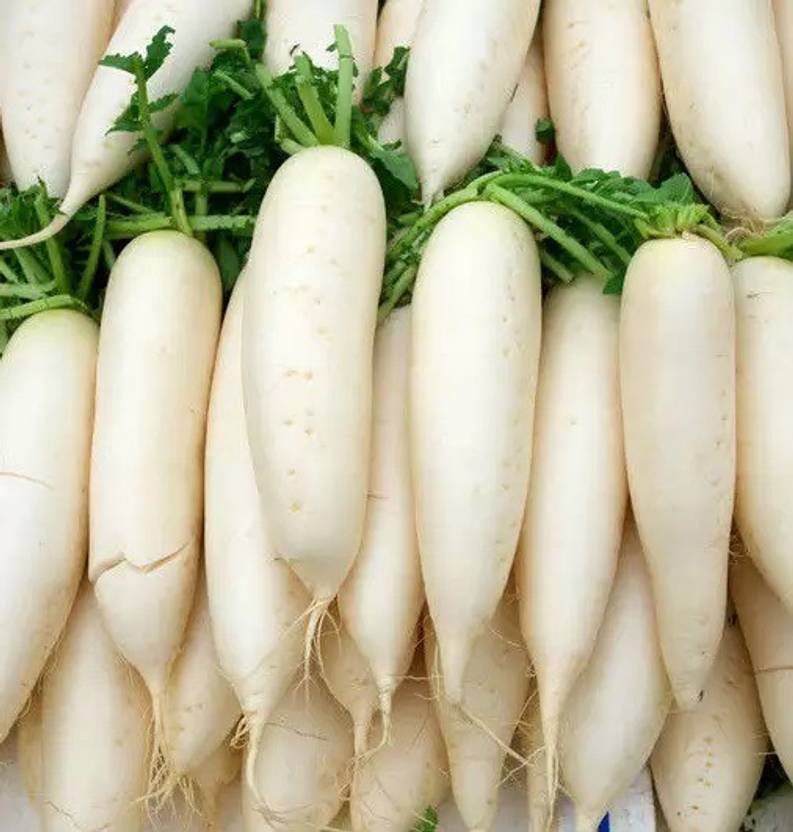 VINTI White Radish (Mooli) Vegetable (मूली के बीज) Seed Price in India ...