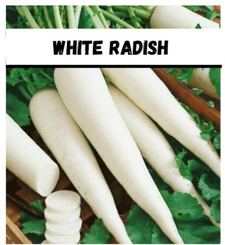 VINTI Radish (Mooli) Vegetable (मूली के बीज) Seed Price in India - Buy ...