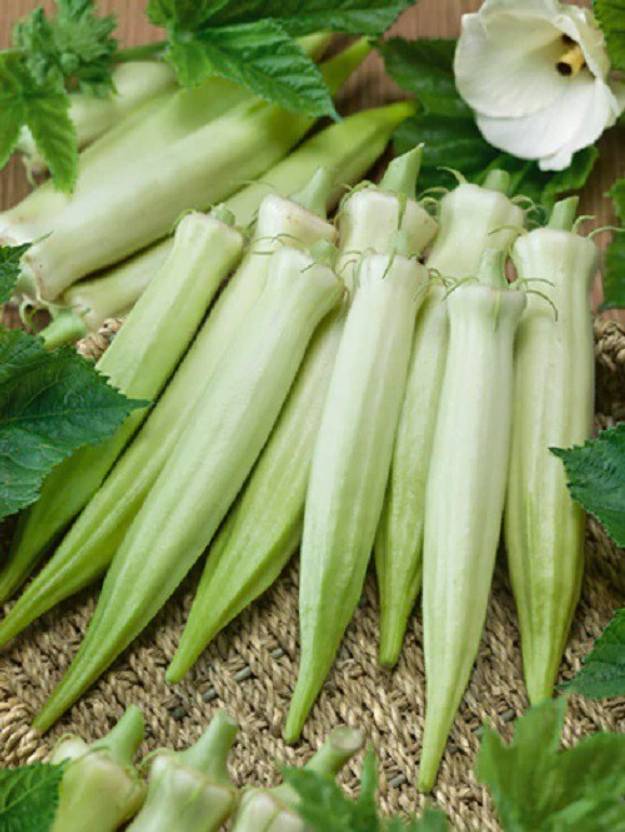 VibeX ® VMR-413 White okra Heirloom F1 Hybrid variety Seed Price in ...