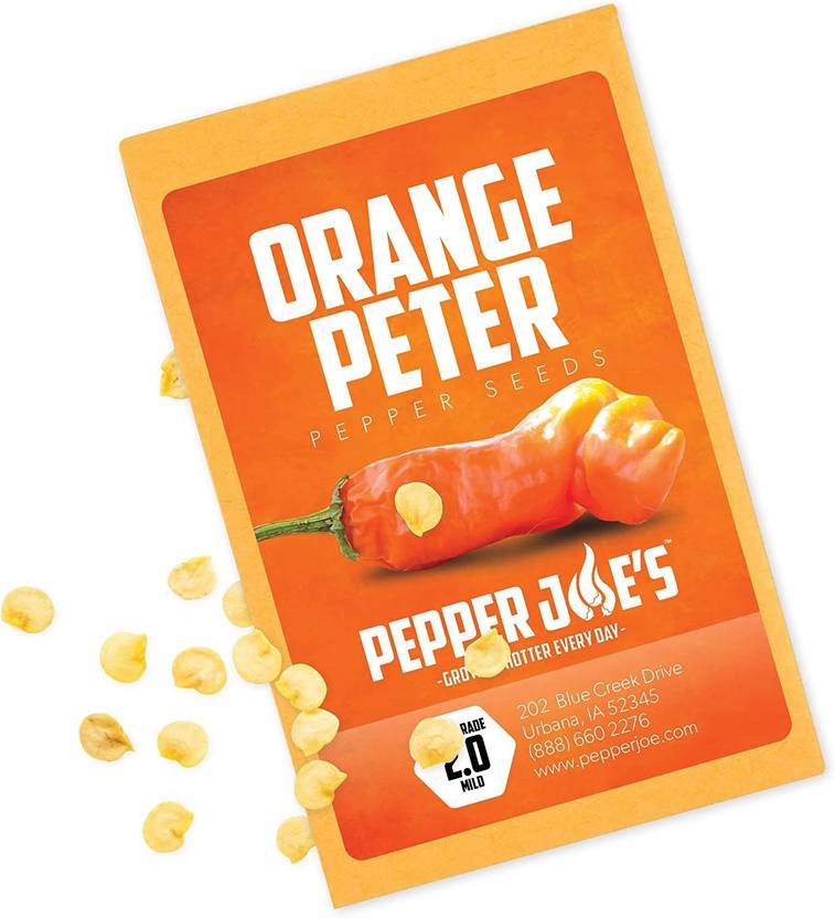 VibeX ® XXL-929 Orange Peter Pepper Chilli Seeds Seed Price in India ...