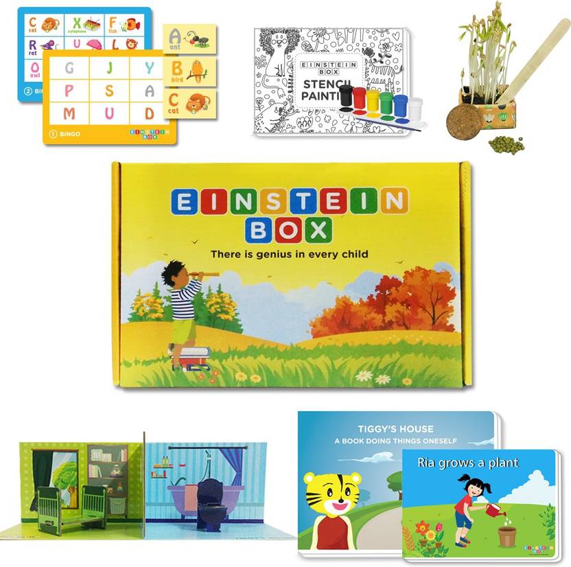 Einstein Box Einstein Box - Intro box for 3 year olds Price in India ...
