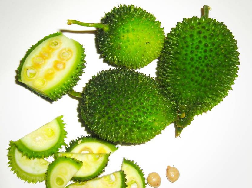 Amir Enterprises Bar Karela Seed Price in India - Buy Amir Enterprises ...