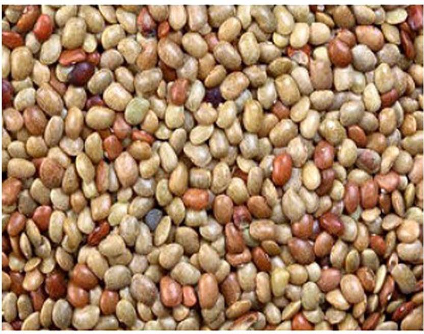ShubhBhakti Kulathi - DOLICHOS BIFLORUS Seed Price in India - Buy ...