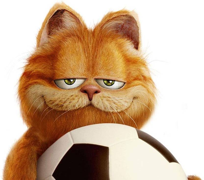 Royalpixels Garfield Ball Photographic Paper - Animation & Cartoons ...