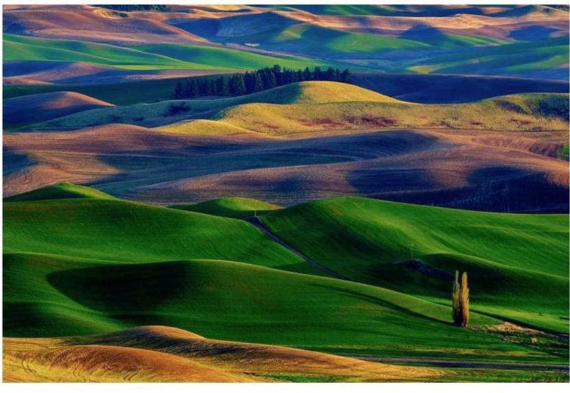 Poster. Nature poster Collection of beautiful nature Paper Print - Art ...