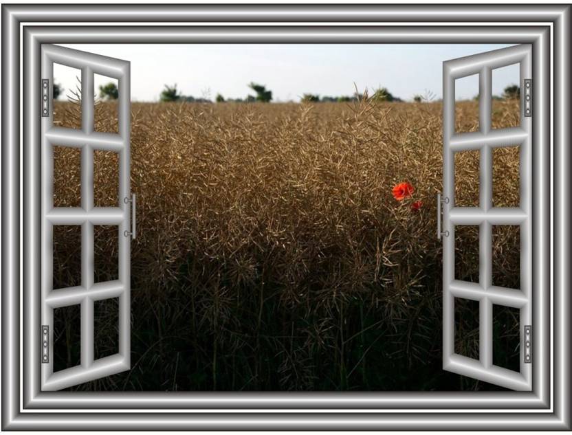 Window Poster 9112 Paper Print - Nature posters in India - Buy art ...