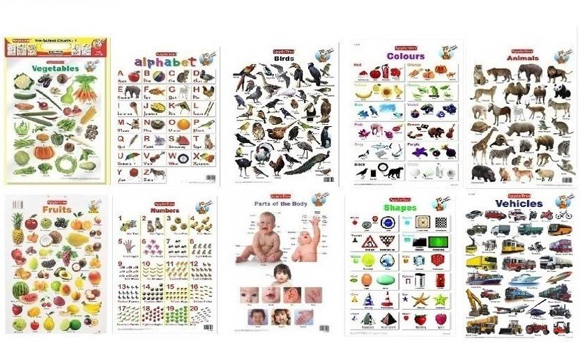 Apple Tree PreSchool - 1 (Pack of 10 charts)( 13.5 inch * 19.5 inch ...