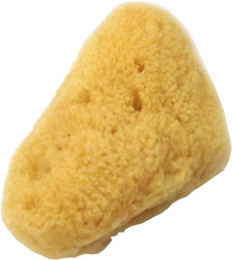 Basicare Natural Sea Sponge - Price in India, Buy Basicare Natural Sea ...