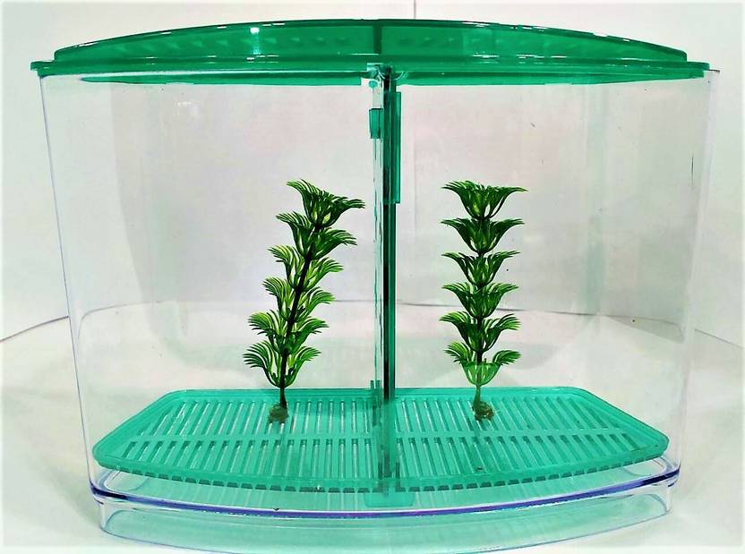 TAIYO Mini Double Betta Tank (Grass Green) Rectangle Aquarium Tank ...