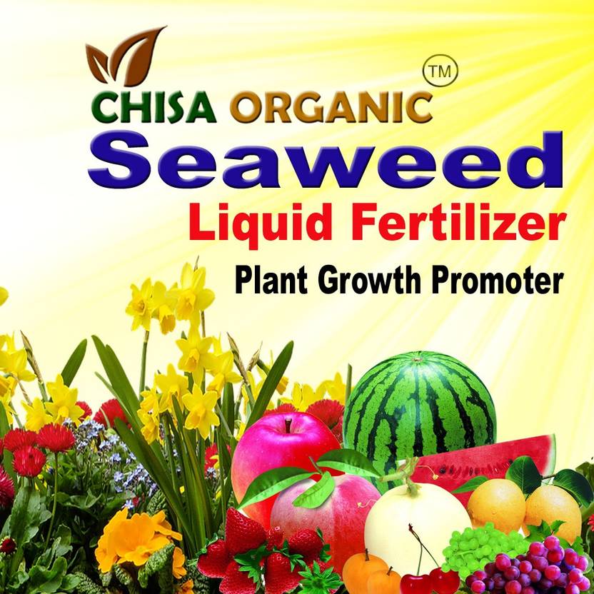 chisa organic Essential Seaweed Extract Liquid Fertilizer for Plants ...