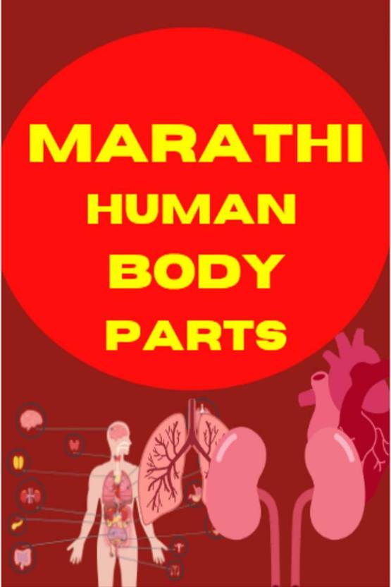 MARATHI HUMAN BODY PARTS BOOK / मराठी मानवी शरीराचे अवयव पुस्तक: Buy ...