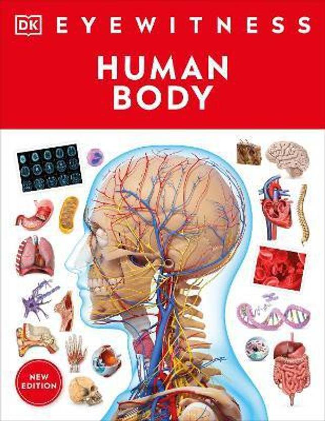 Eyewitness Human Body: Buy Eyewitness Human Body by DK at Low Price in ...