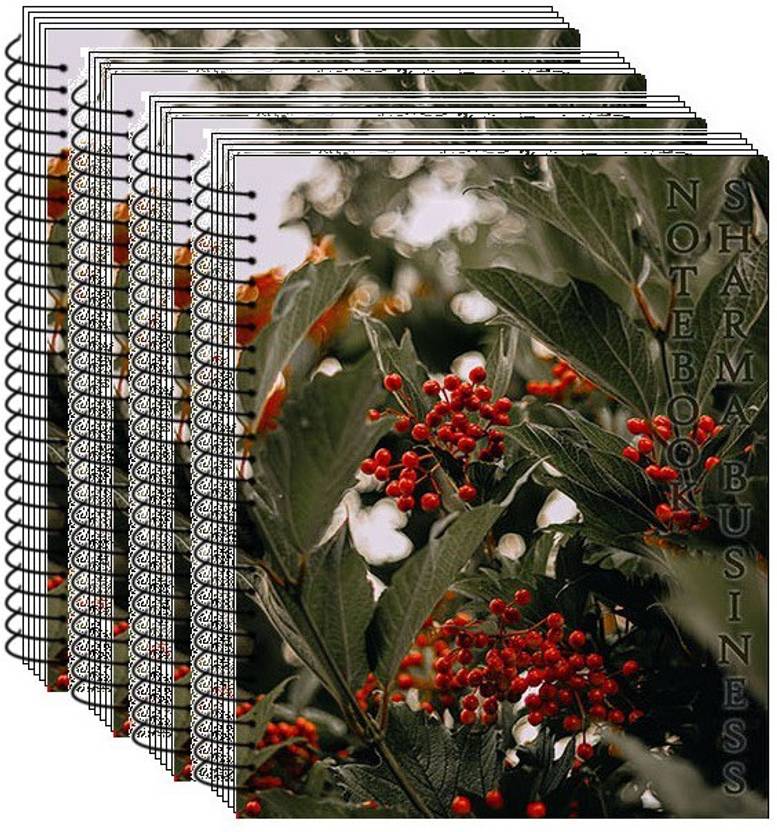 KRASHTIC Big A4 Spiral Unruled Notebook, 75 GSM Paper, Set of 4 (Red ...