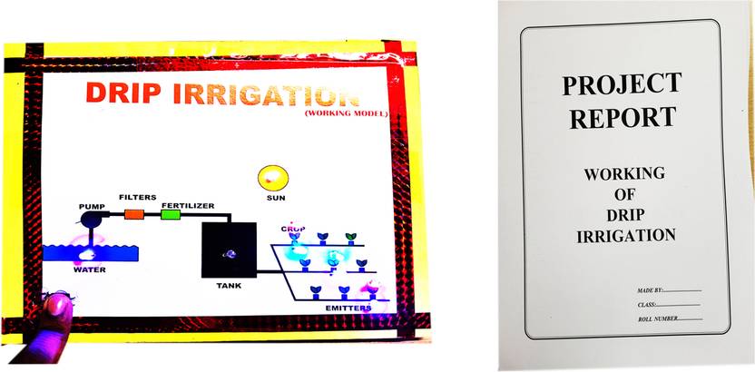 ONTEX ELECTRONICS Drip Irrigation Biology Working Model Educational ...