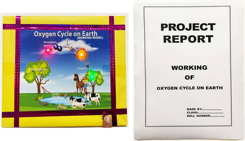 ONTEX ELECTRONICS Oxygen Cycle Biology Working Model and Project(Report ...