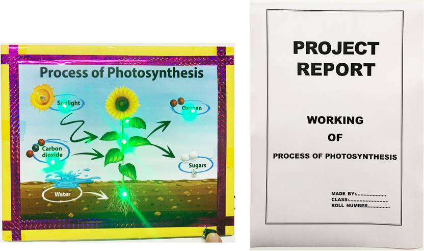 ONTEX ELECTRONICS Photosynthesis System Biology Working Model and ...