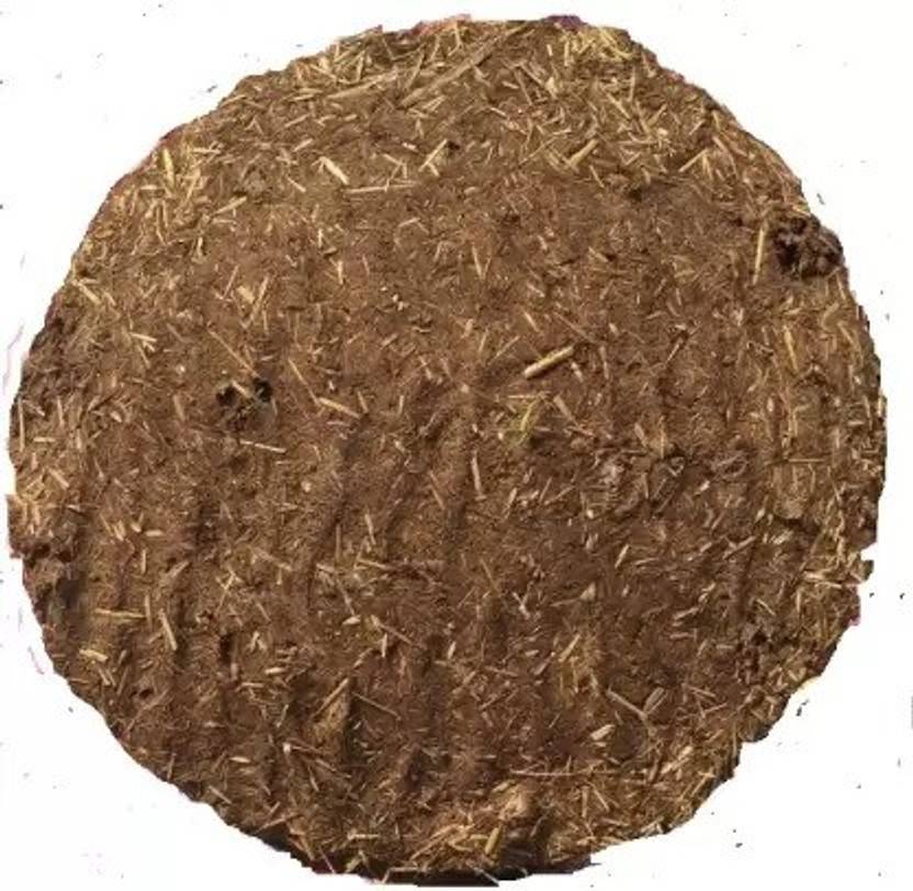 Rainbo Cow Dung Cakes (Cow Gobar) for Hawan (Pack Of 6) Price in India ...