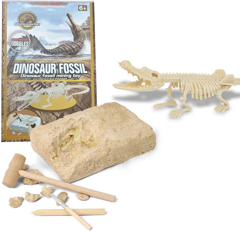Kidology Dinosaur Skeleton Digging Fossil Kit Model Educational ...