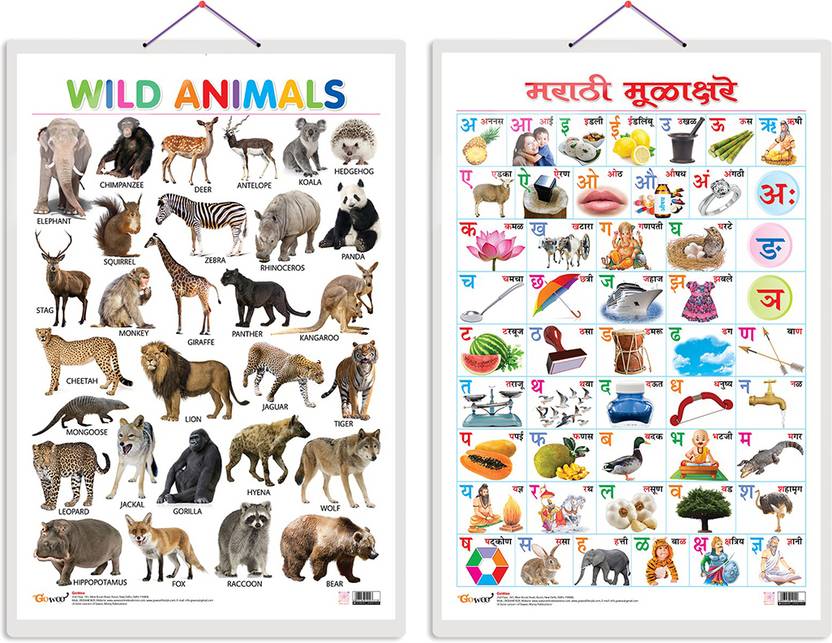 GO WOO Pack of 2 Wild Animals and Marathi Varnamala Educational charts ...