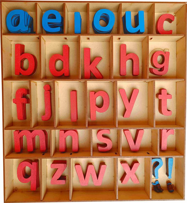 Cryo Craft Montessori Movable Lower case/Small Letter/Alphabets-with ...