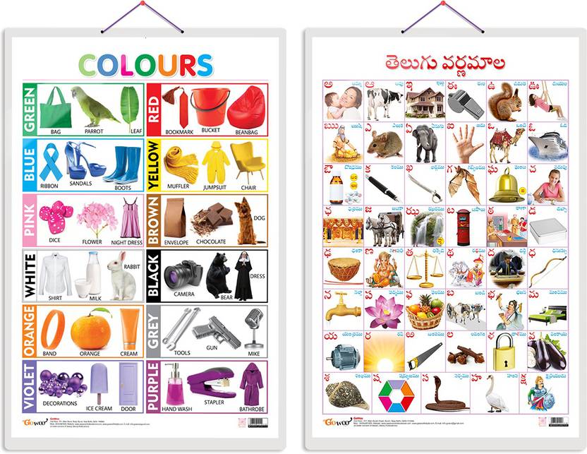 GO WOO Pack of 2 Colours and Telugu Alphabet (Telugu) Educational ...