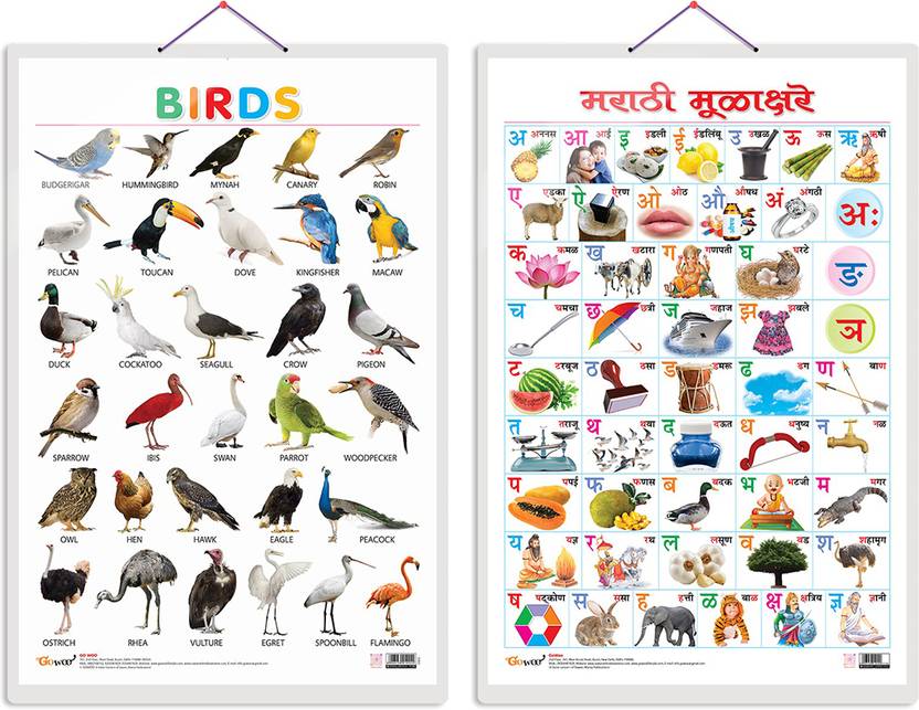 GO WOO Pack of 2 Birds and Marathi Varnamala Educational charts Price ...