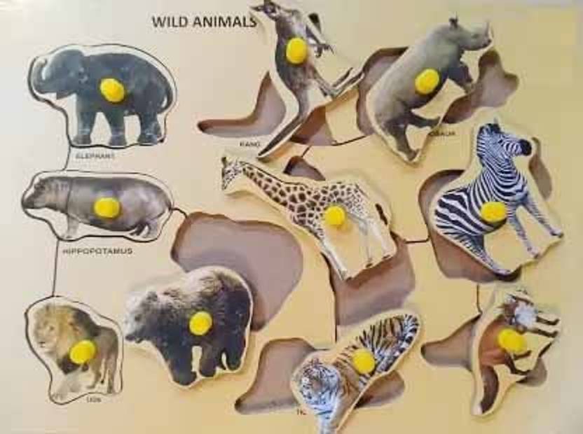Poktum Best Wild Animals Puzzle Board/Games & Learning Educational ...