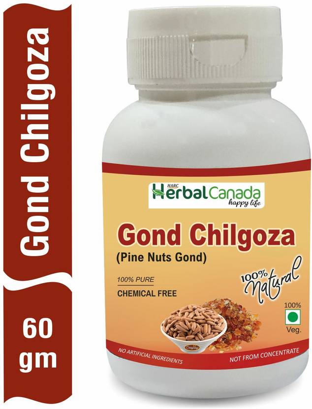 Herbal Canada Gond Chilgoza ( Pine Nut Gond) | 60g | 100% Pure Price in ...