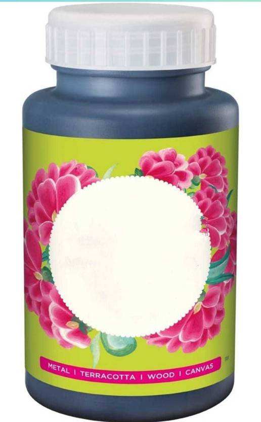 Flipkart.com | Pidilite paint