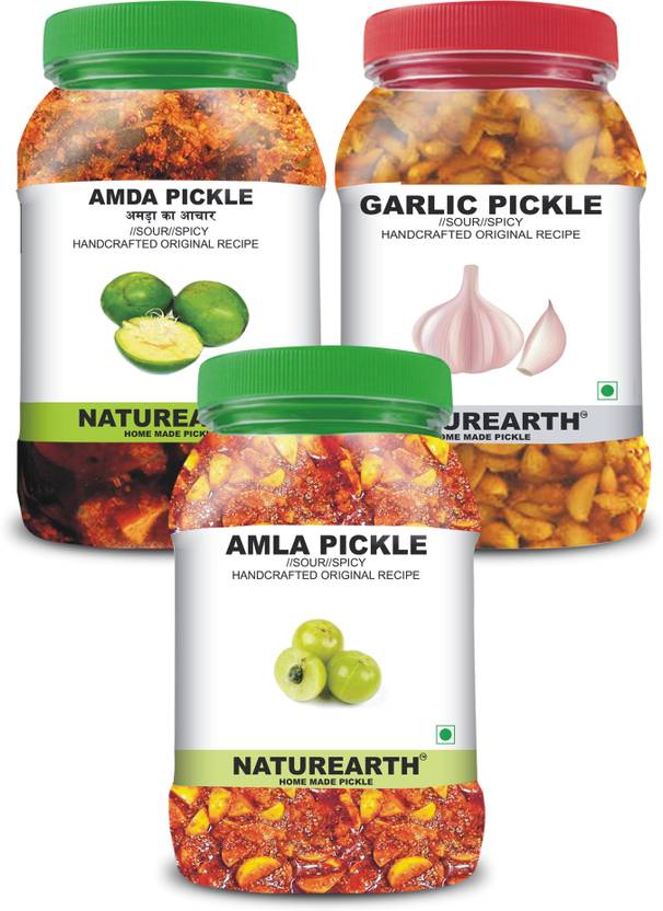 NaturEarth 100% Natural Amla,Amda & Garlic Pickle(600 g) Primium Quality Achar Mixed Pickle ...