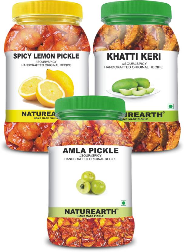 NaturEarth 100% Natural Amla,Spicy Lemon & Khatti keri Pickle(600g ...