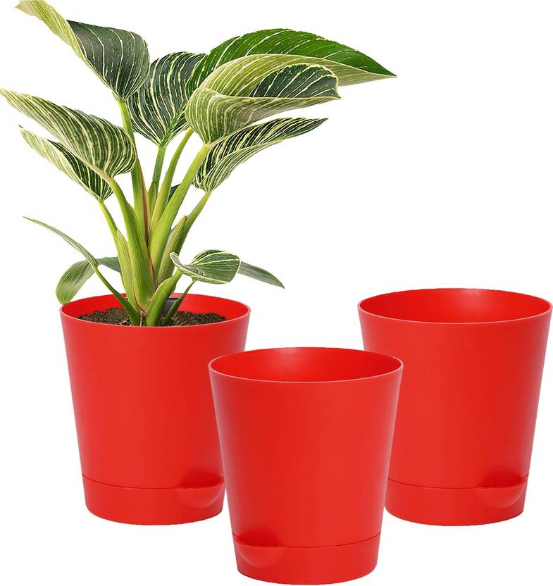 Kuber Industries Plant Container Set Price in India - Buy Kuber ...