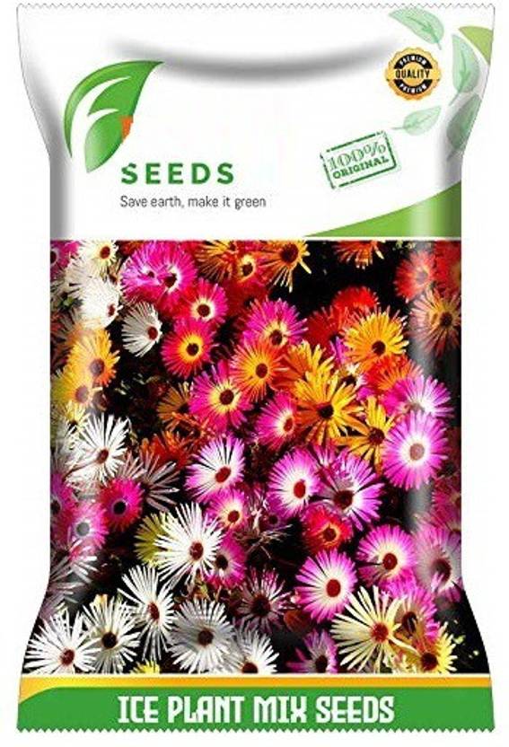 CYBEXIS Seeds - ICE Plant or Livingstone Daisy"Farm Mix" Seed Price in ...