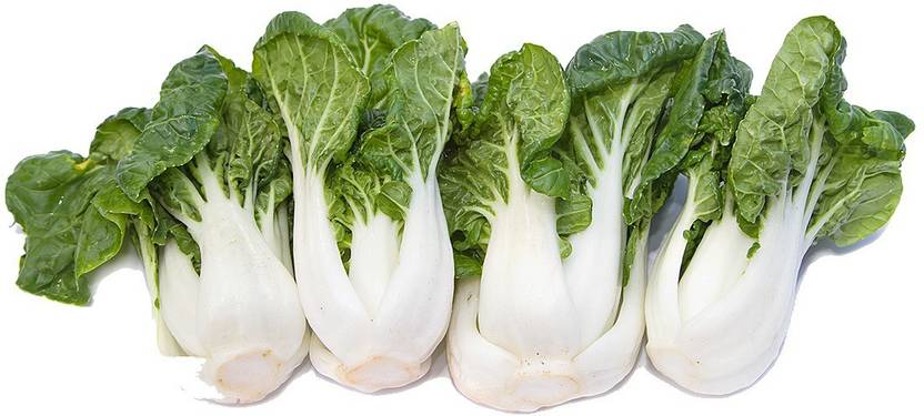 Atlus Pak Choi Organic Vegetable Seed Price in India - Buy Atlus Pak ...
