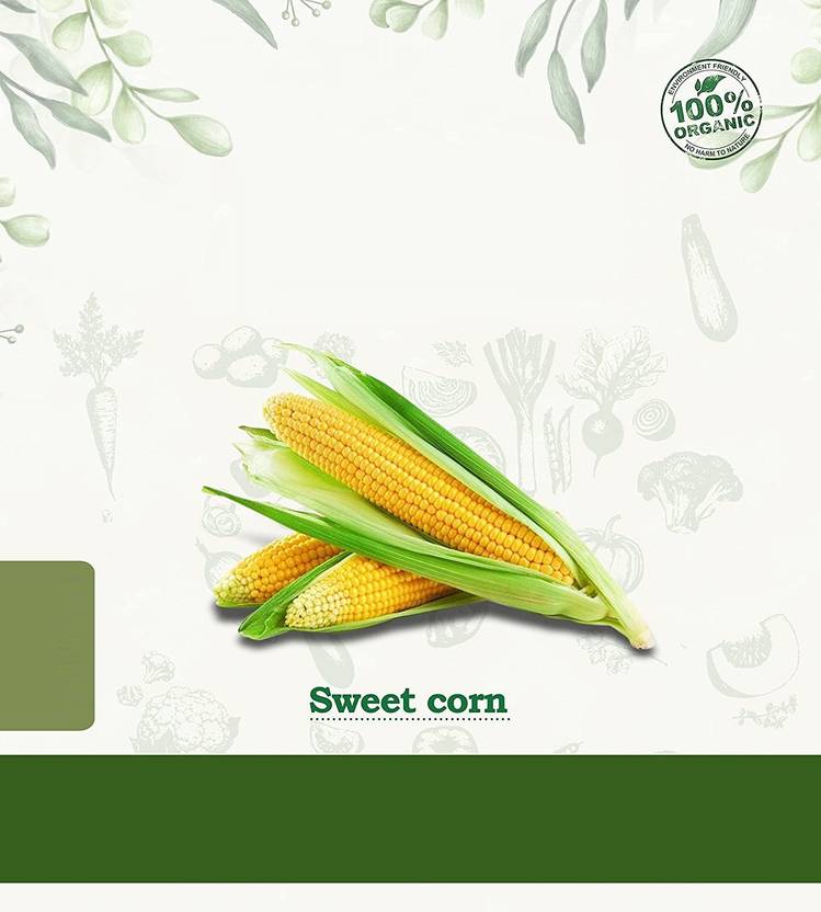 VibeX ® VMR-962 Corn Maize Rise 303 Hybrid | Makka Ke Beej Seed Price ...