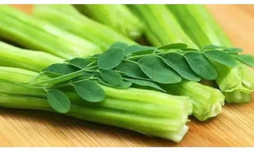 RSLT Long Drumstick Sehjan Moringa Oleifera Seed Price in India - Buy ...