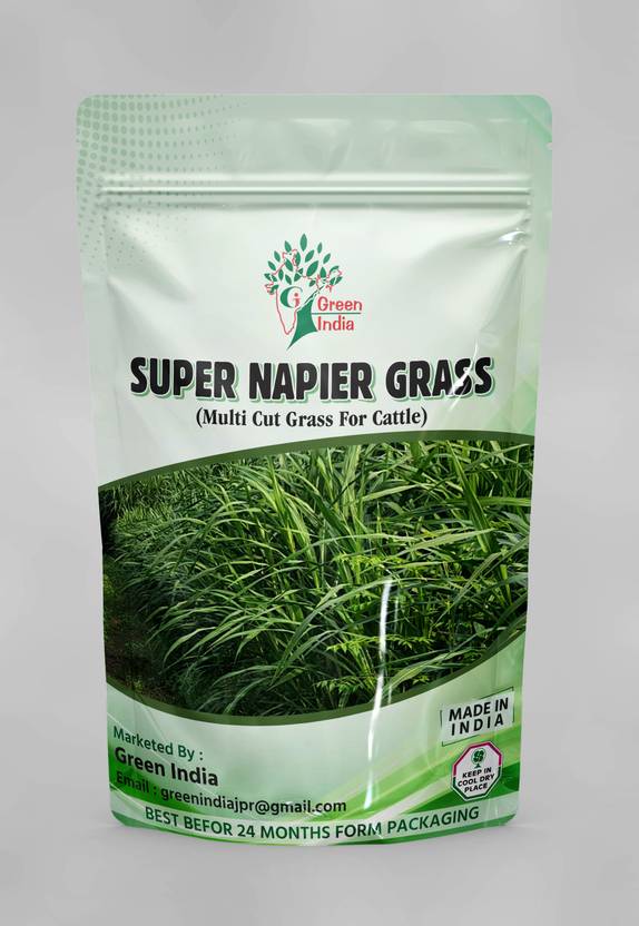 Green India Super Napier Grass Seed 200 G Seed Price In India Buy