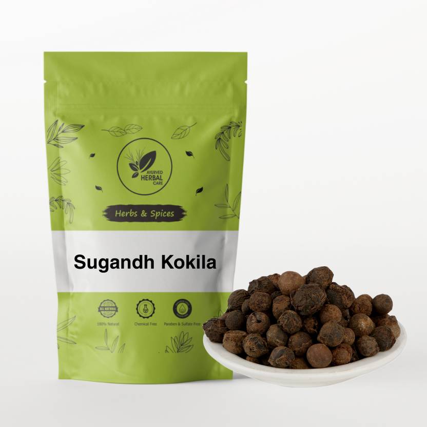 ayurved herbal care Sugand Kokila - Cinnamomum Glaucescens - Cinnamon ...