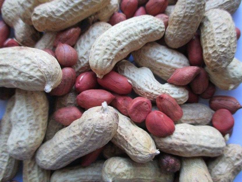 Shiv-Shakti Group mungfali Seed Price in India - Buy Shiv-Shakti Group ...