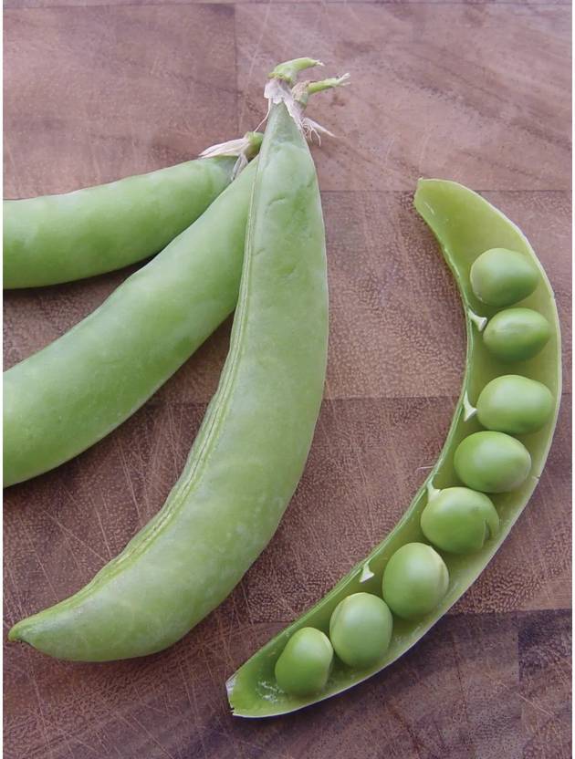 MYLAWN (Matar) Peas Seeds (मटर के बीज) Seed Price in India - Buy MYLAWN ...