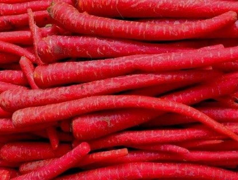 RUDAN Long Red Carrot Seed Price in India - Buy RUDAN Long Red Carrot ...
