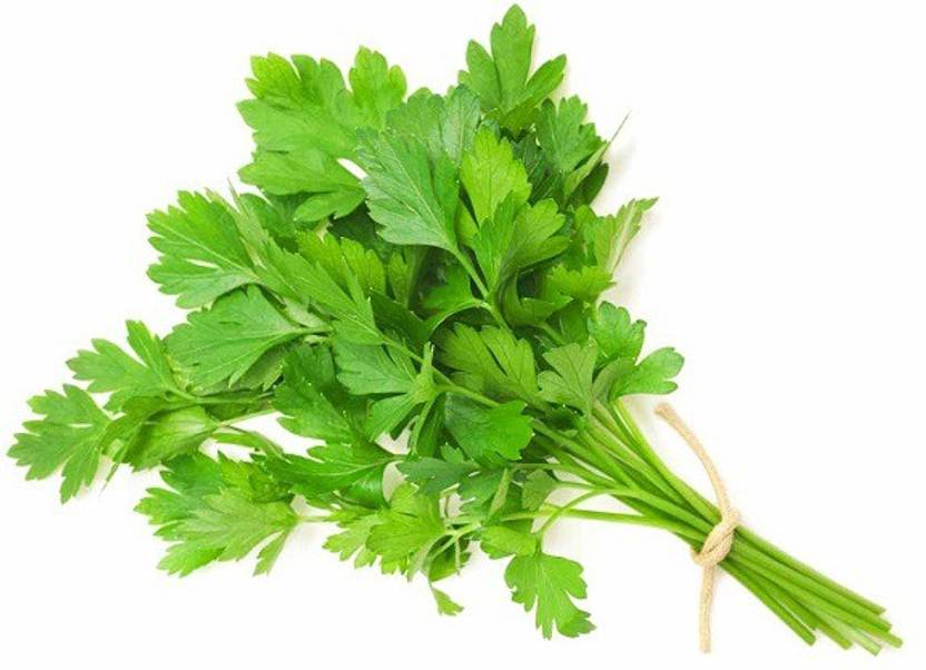 CYBEXIS Ajmod-350 Seeds Seed Price in India - Buy CYBEXIS Ajmod-350 ...