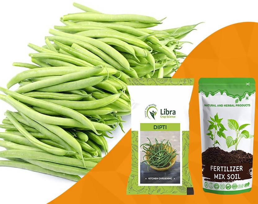 NATURAL AND HERBAL PRODUCTS Cowpea Seeds for Planting | Cow Pea ...