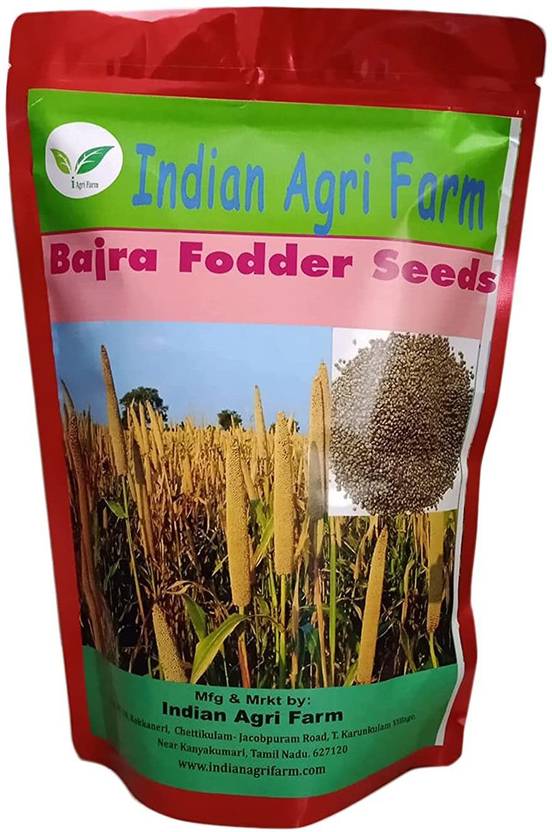 IAgriFarm Bajra Seeds Multi Cut for Green Fodder Production Pack of 500 grms Seed Price in India ...