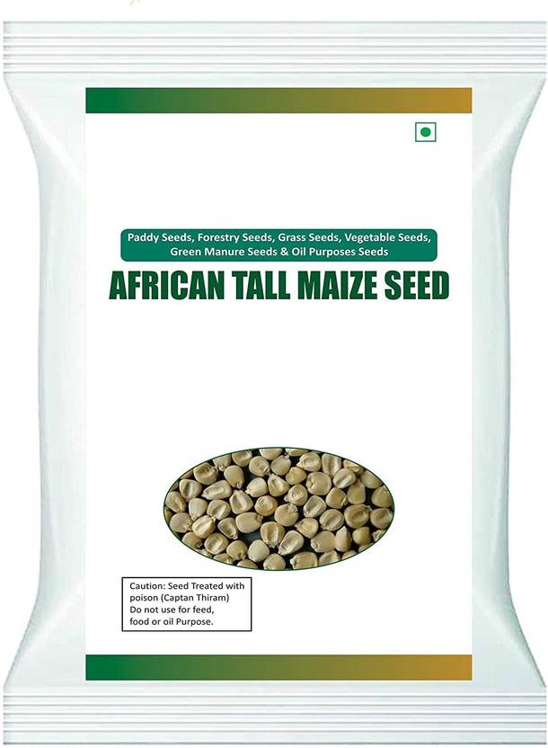 VibeX ® LXI-880 African Tall Corn Maize/Fodder Maize/Makka Seeds Seed ...